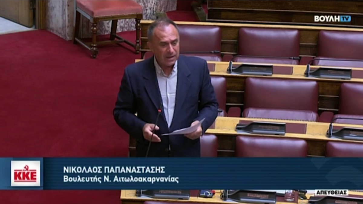 Ν. Παπαναστάσης: Να προστατευτεί η περιοχή του Κάστρου Λευκάδας από ...
