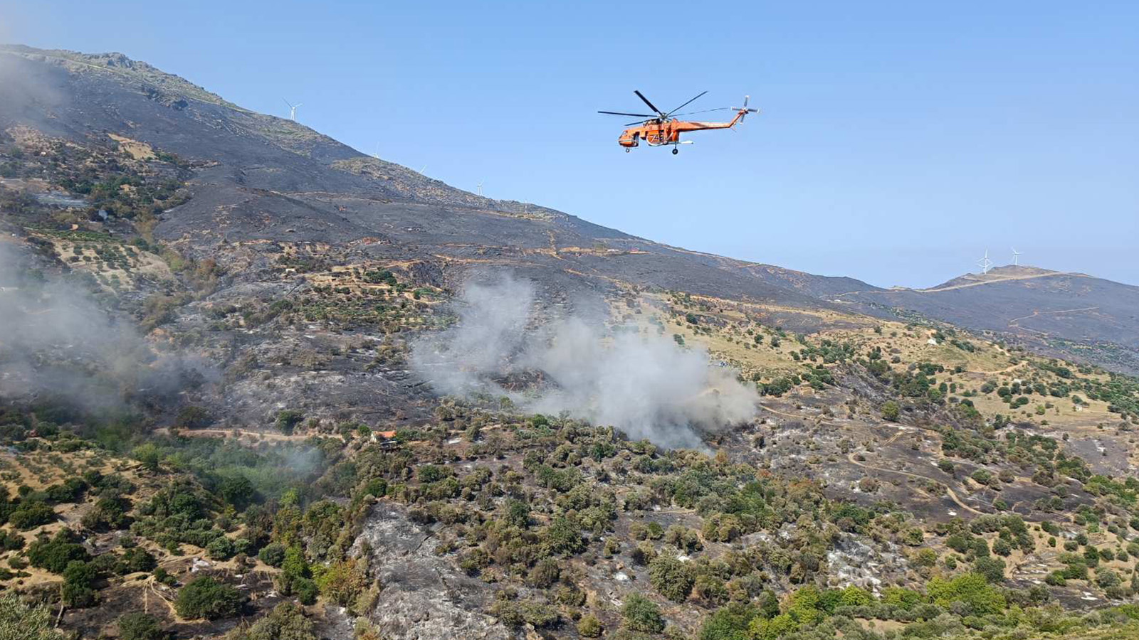 Πυροσβεστική: Συνολικά 53 δασικές πυρκαγιές το τελευταίο 24ωρο – Σε ...