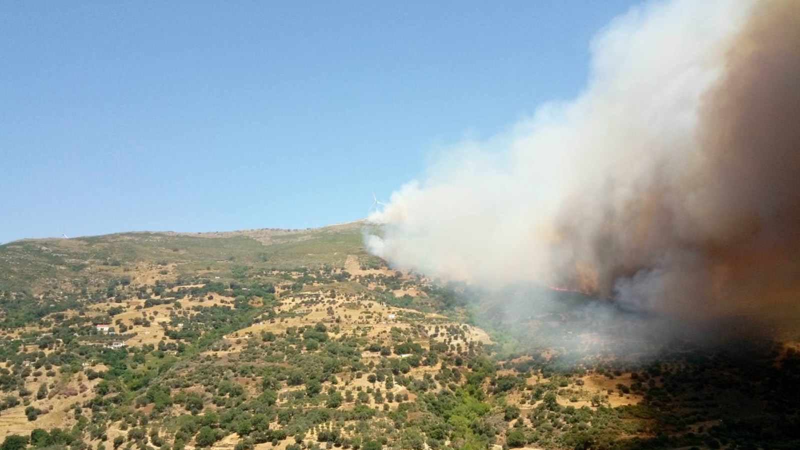 Χωρίς ενεργό μέτωπο η φωτιά που ξέσπασε το απόγευμα στην Κάρυστο - ALT.gr