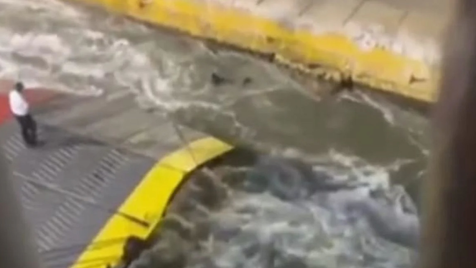 Σε πνιγμό οφείλεται ο θάνατος του 36χρονου στο λιμάνι - Είχε εκδορές ...