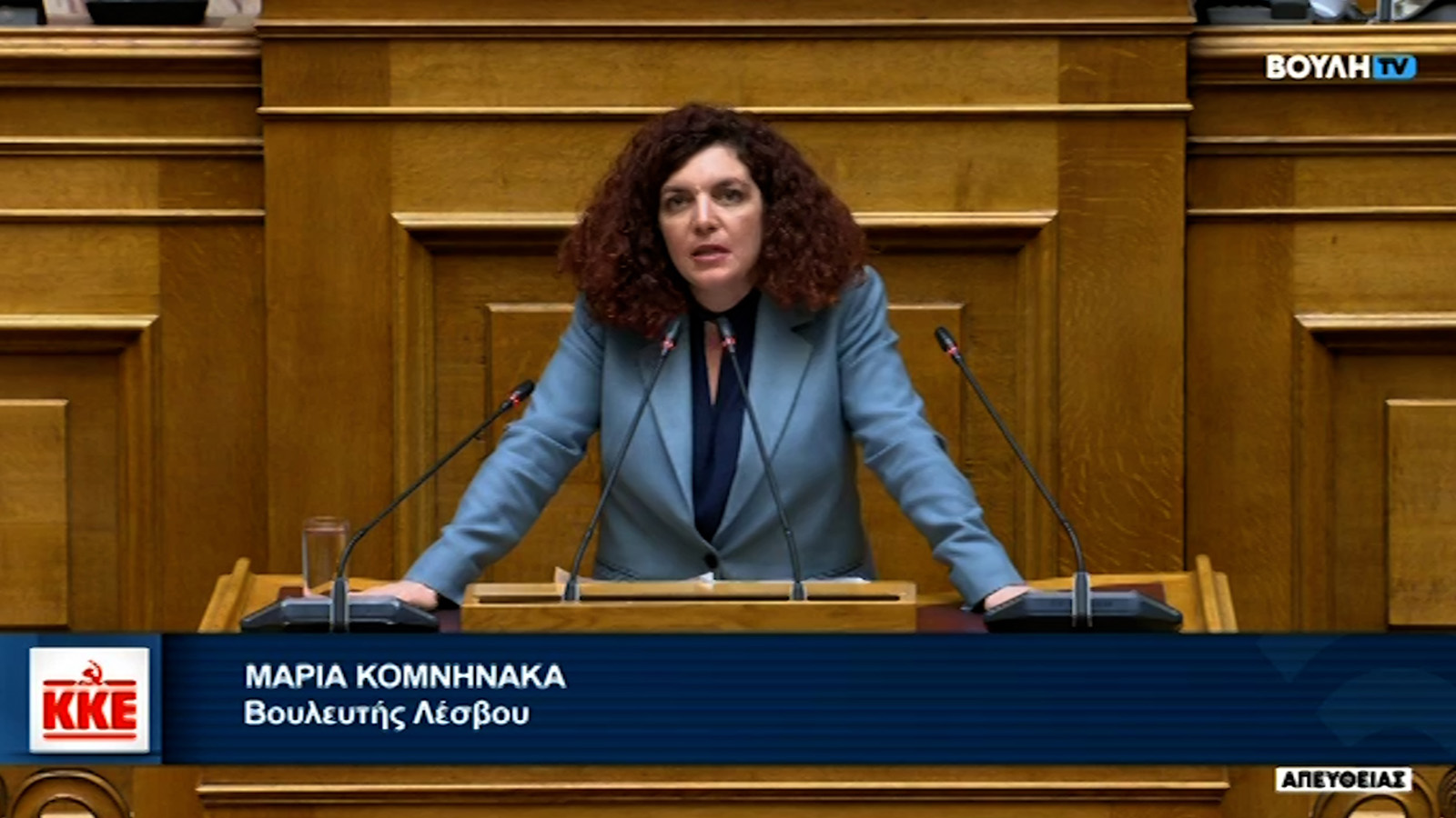 Μ. Κομνηνάκα: Η κυβέρνηση συστήνει επιτροπή - «κόφτη» των αναγκαίων ...
