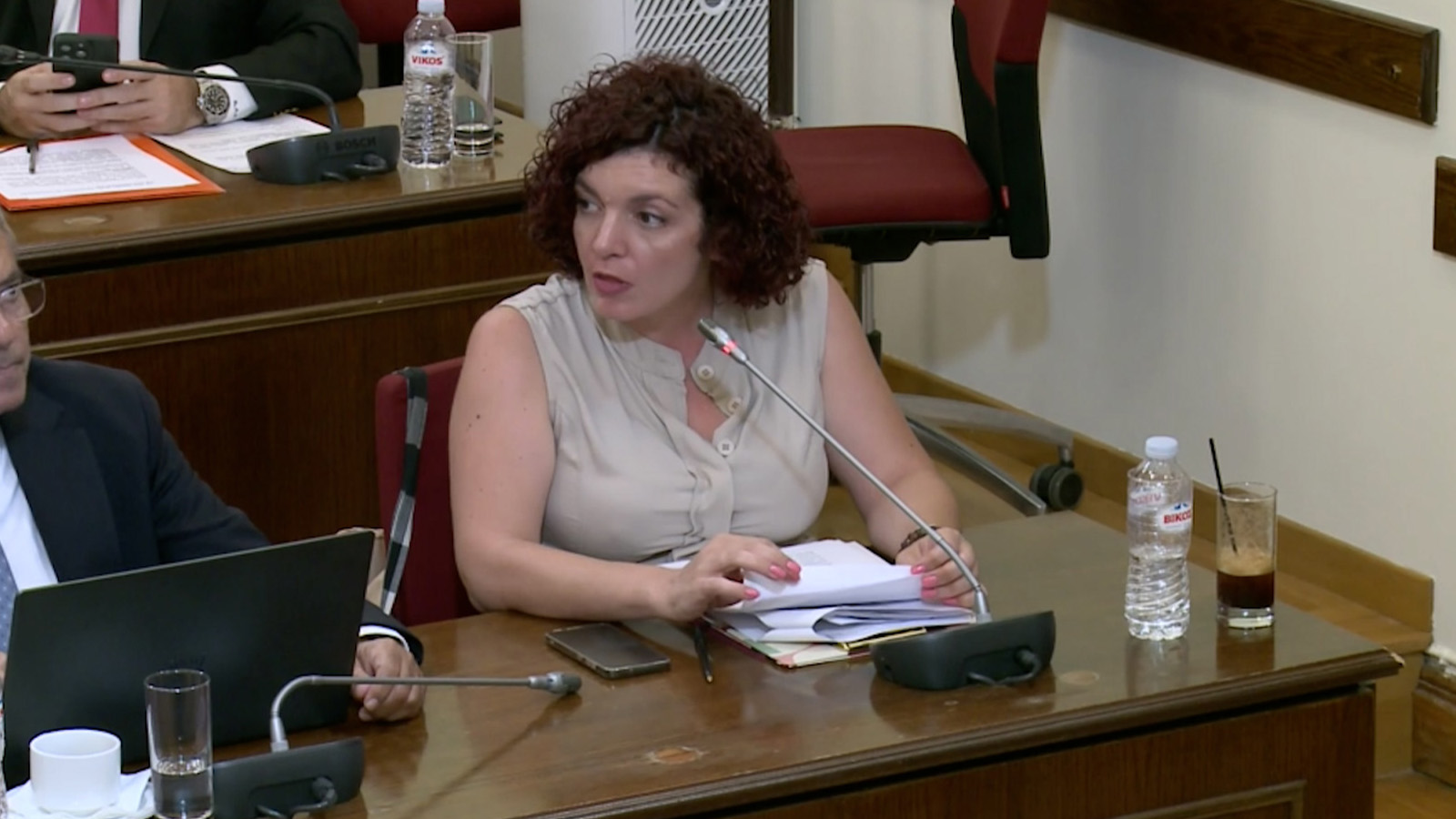 Μαρία Κομνηνάκα: Αντιδραστικές αλλαγές φέρνει το νέο νομοσχέδιο του ...