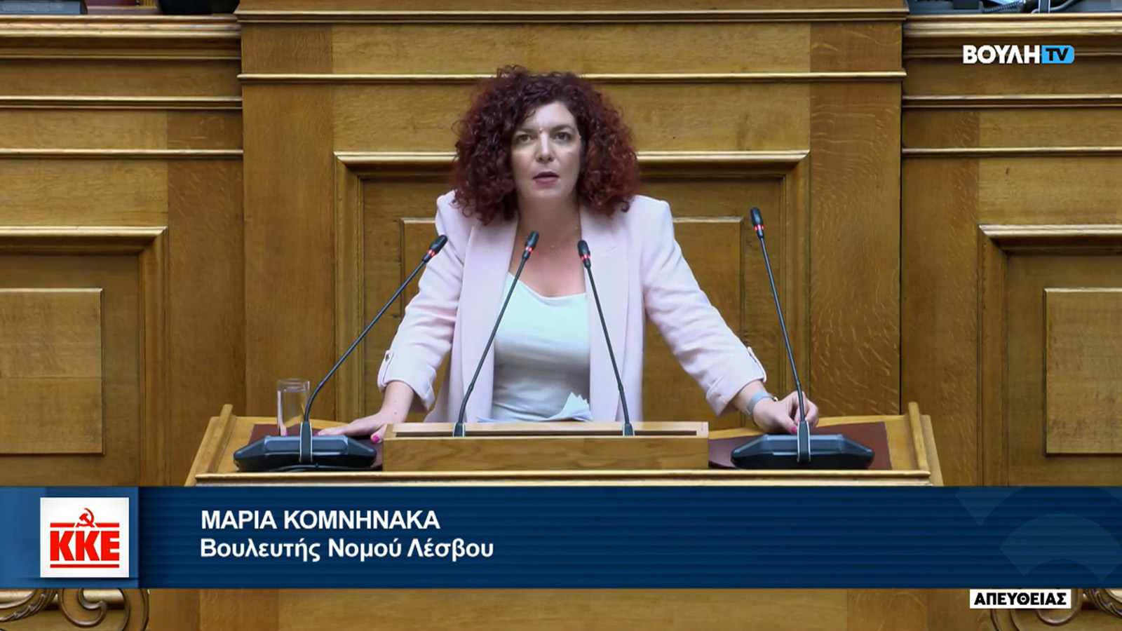 Μ. Κομνηνάκα: Νέες αντιδραστικές μεταρρυθμίσεις για να παίξει η ...