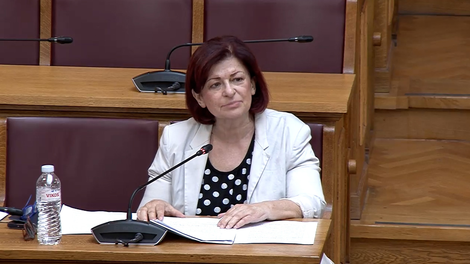 Δ.Μανωλάκου: Η Κομισιόν ενδιαφέρεται για τον έλεγχο των ξένων ...