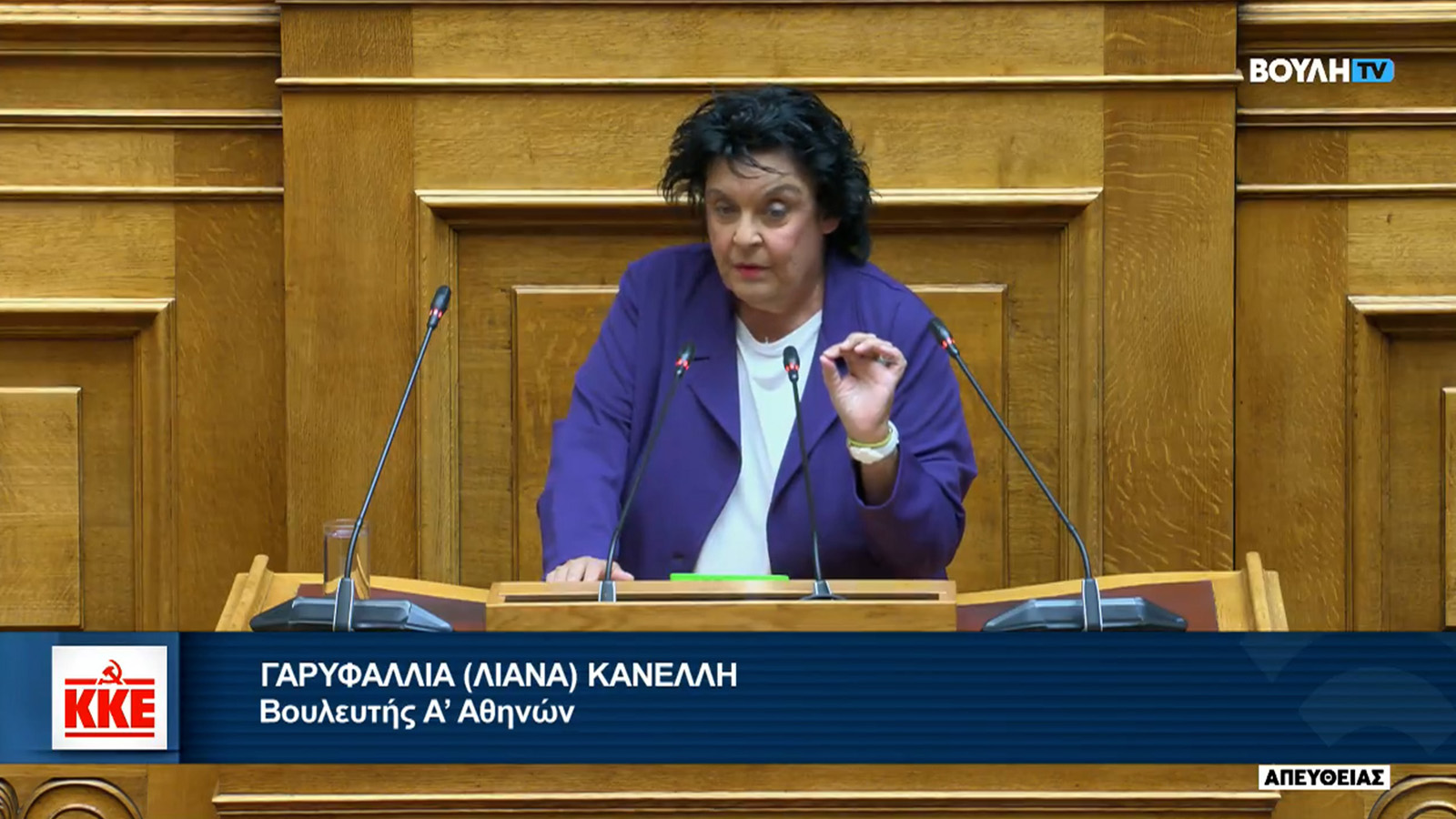 Λ. Κανέλλη: Η έννοια της «ανθεκτικότητας» είναι ταξική - ALT.gr